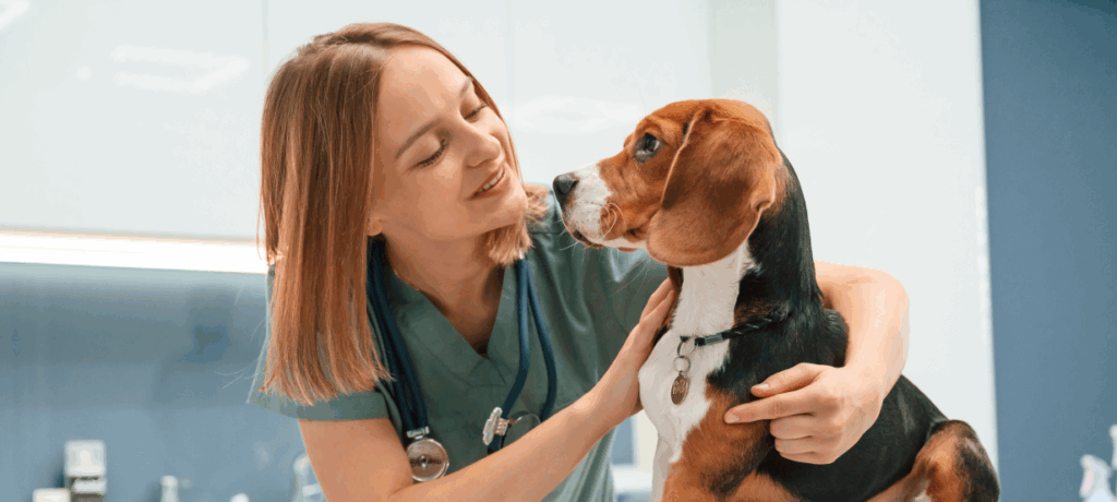 Veterinary Emergency and Critical Care Society l YM Careers Case Study